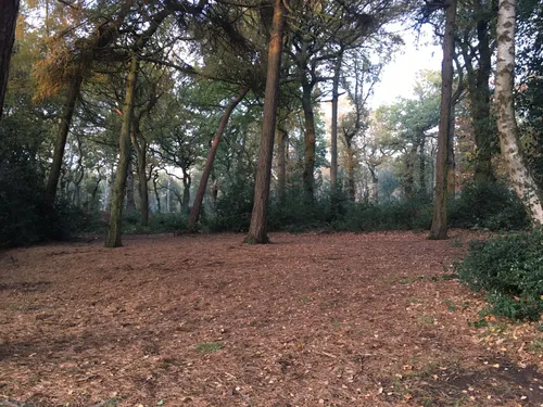 10 Best Trails and Hikes in West Midlands | AllTrails