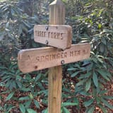 Appalachian Trail: Springer Mountain to Neels Gap, Georgia - 135 ...
