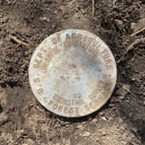 Appalachian Trail: Springer Mountain to Neels Gap, Georgia - 152 ...