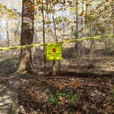 Arc Corner Monument Loop, Delaware - 189 Reviews, Map | AllTrails