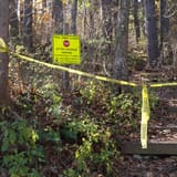 Arc Corner Monument Loop, Delaware - 189 Reviews, Map | AllTrails