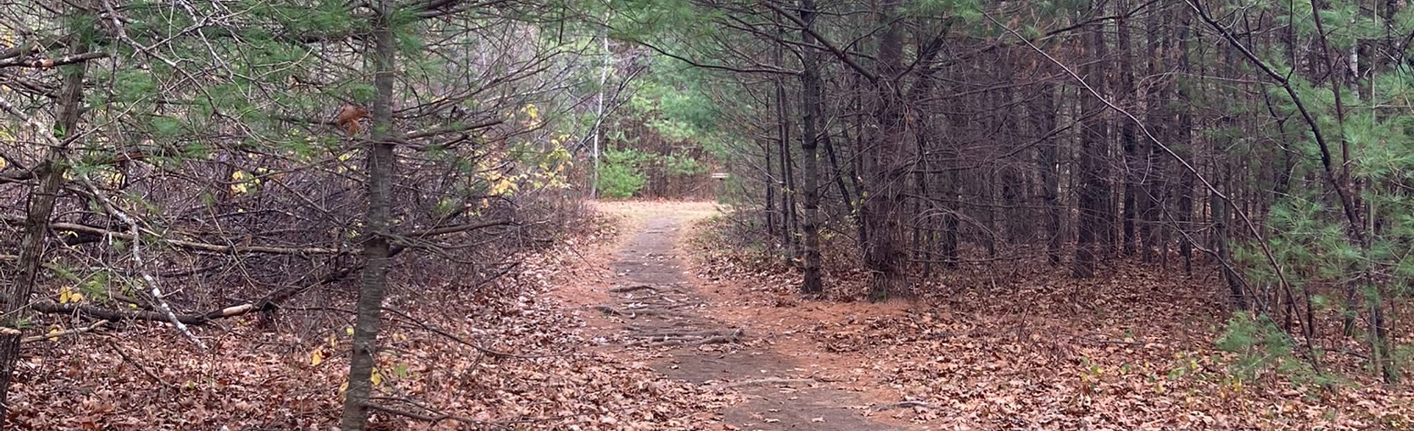 Range Ponds Brook Trail: 16 Reviews, Map - Maine | AllTrails
