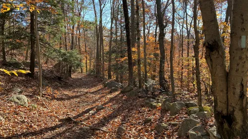 Best 10 Hikes and Trails in Meshomasic State Forest | AllTrails