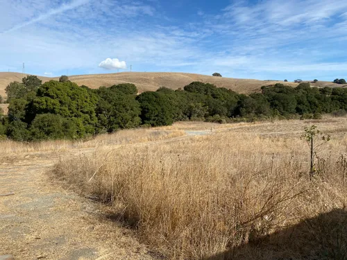 Best Hikes and Trails in Fernandez Ranch | AllTrails