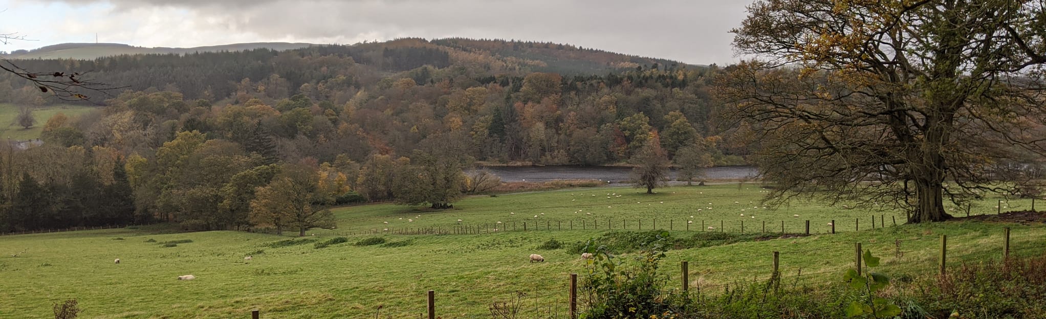Castle Wood and Duns Castle: 16 Reviews, Map - Scottish Borders ...