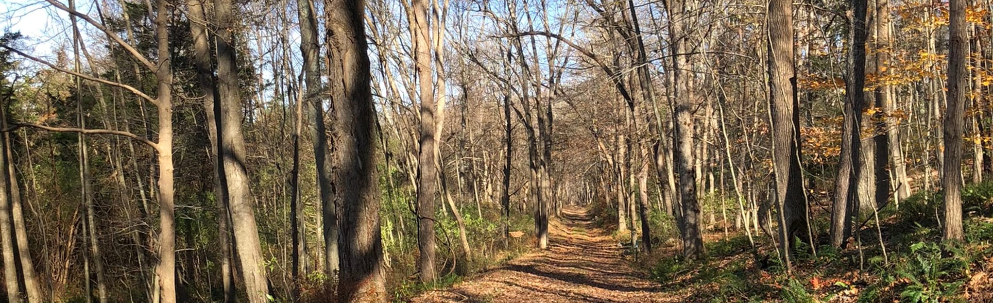 Hamilton Ridge and Pioneer Trail Loop, New Jersey - 14 Reviews, Map ...