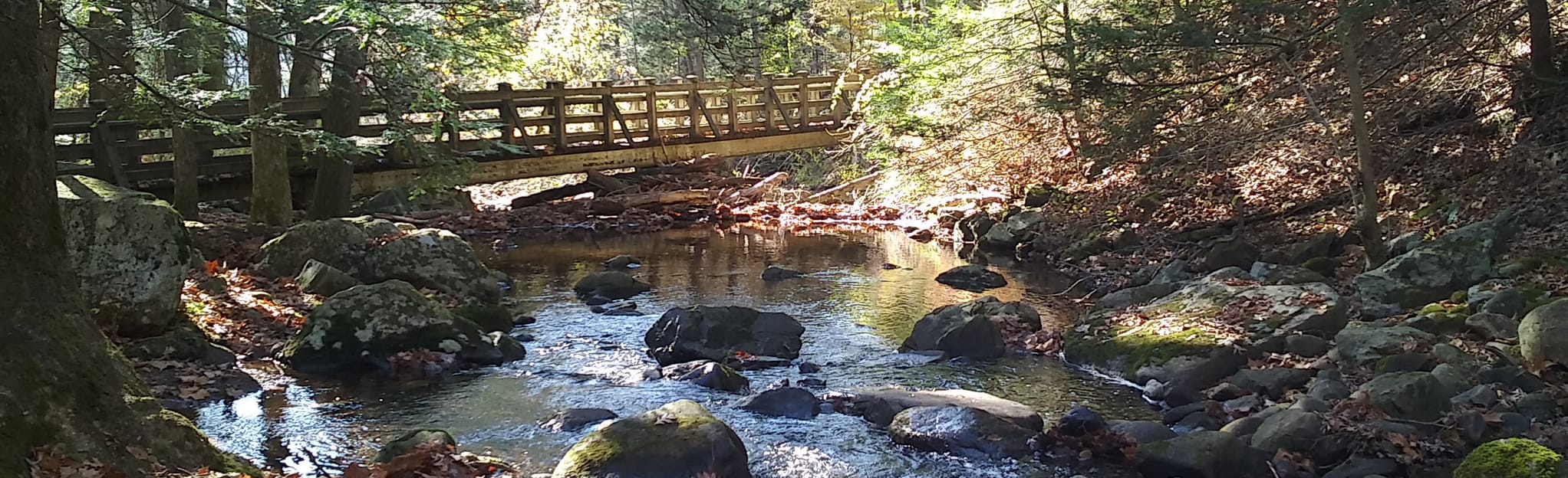 Kettletown State Park Brook Trail: 130 Reviews, Map - Connecticut ...