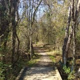 Arc Corner Monument Loop, Delaware - 189 Reviews, Map | AllTrails