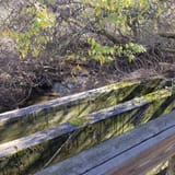 Arc Corner Monument Loop, Delaware - 189 Reviews, Map | AllTrails