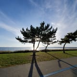 Fort Rodman Loop, Massachusetts - 111 Reviews, Map | AllTrails