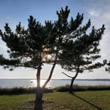 Fort Rodman Loop, Massachusetts - 111 Reviews, Map | AllTrails