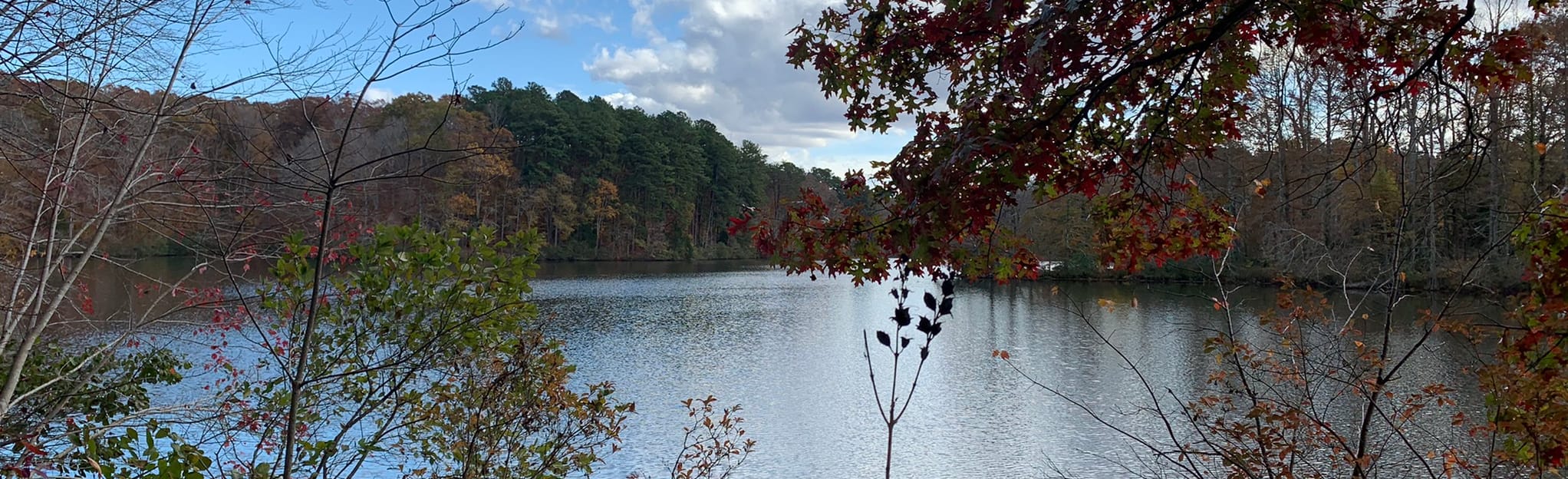 Cub Lake Trail | Map, Guide - Tennessee | AllTrails