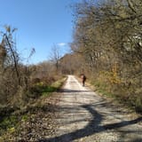 Katy Trail: Rocheport to Huntsdale, Missouri - 250 Reviews, Map | AllTrails