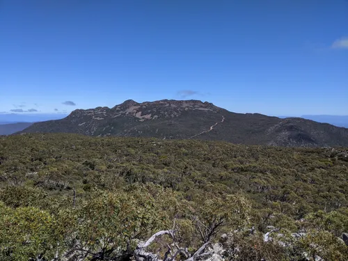 10 Best Trails and Hikes in Fern Tree | AllTrails