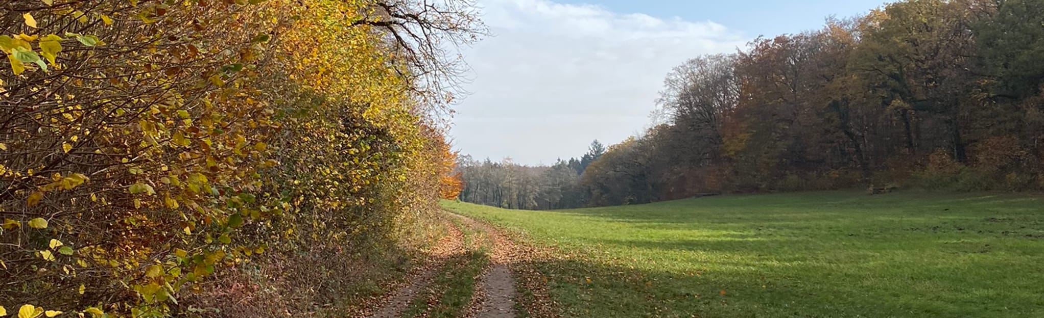 Genolier - Bois de Chêne: 7 Reviews, Map - Vaud, Switzerland | AllTrails