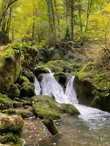 2023 Best 10 Trails and Hikes in Basel Country | AllTrails