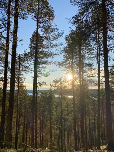 Best Hikes and Trails in Muddus National Park | AllTrails