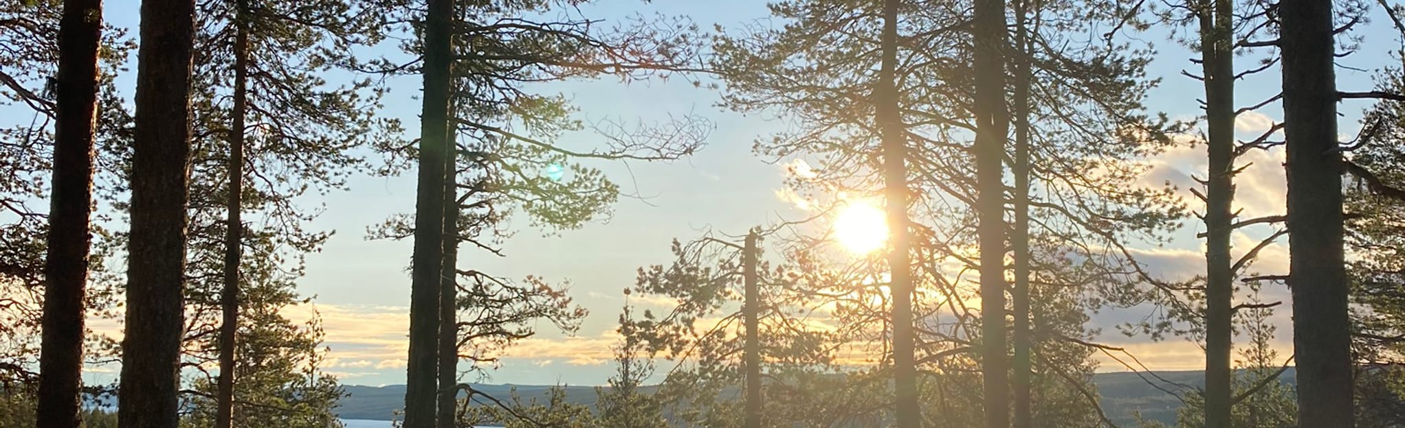 Skaite – Askasfallet – Muddusfallet, Norrbotten, Sweden - 53 Reviews ...