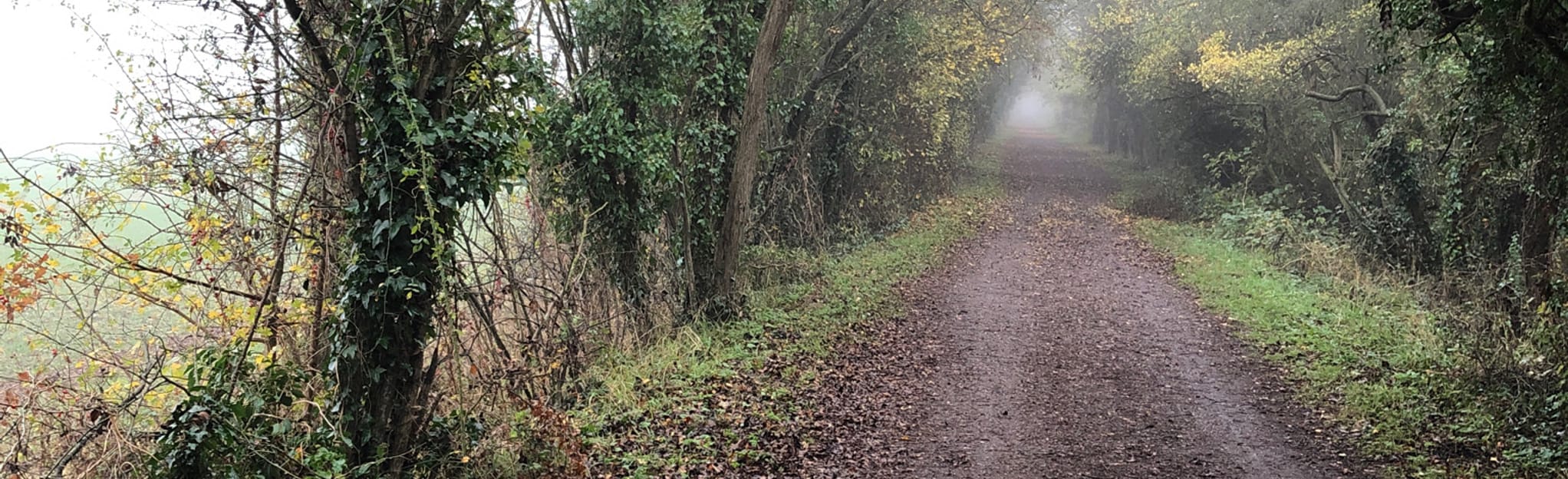 Southwell Trail: Bilsthorpe to Southwell, Nottinghamshire, England - 7 ...