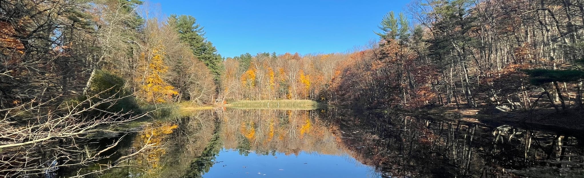 AllTrails | Lost Pond and Sentry Ridge Loop: 116 Reviews, Map - New York