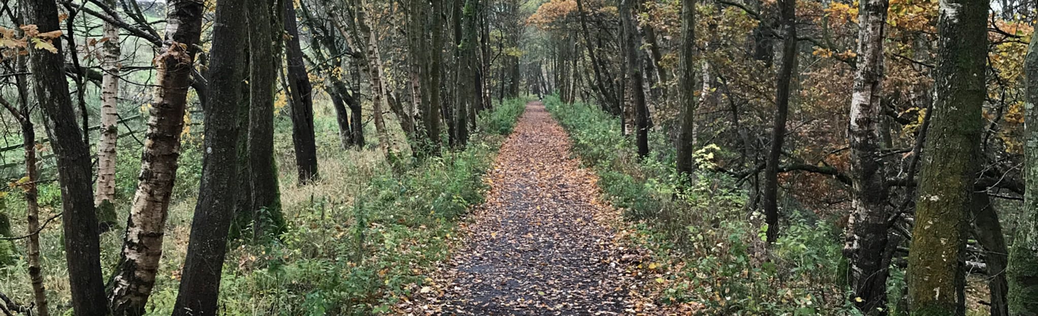 South Tyne Trail: 3 Reviews, Map - Northumberland, England | AllTrails