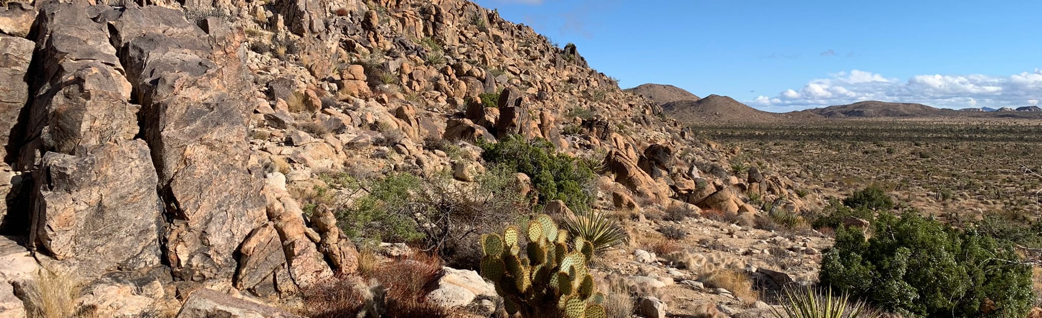 Old Queen Valley Historic Road, California - 65 Reviews, Map | AllTrails