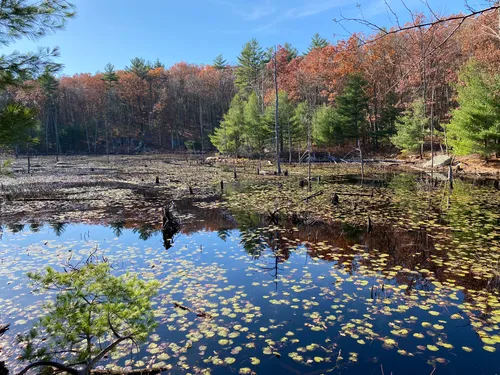 10 Best Trails and Hikes in Groton | AllTrails
