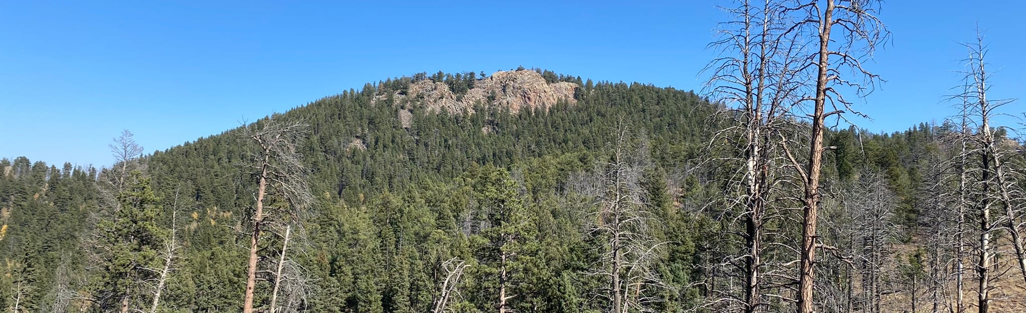 Devil’s Kitchen OHV Trail | Map, Guide - Colorado | AllTrails