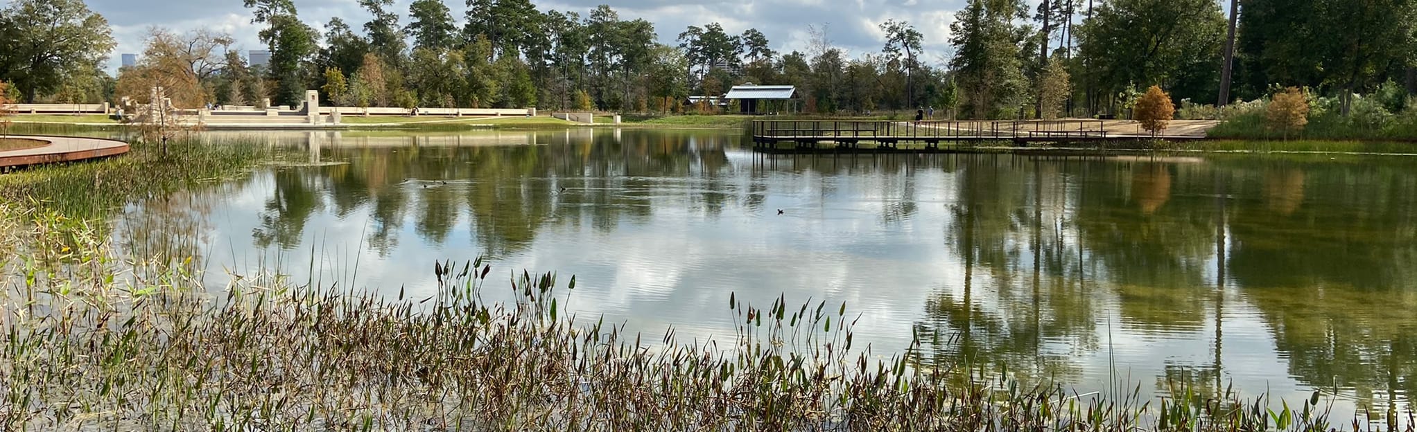 Clay Family Eastern Glades: Hines Lake and Central Lawn Loop, Texas ...