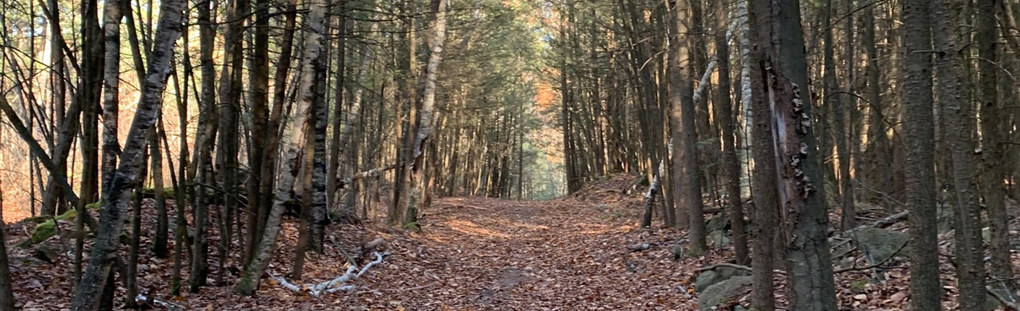 Flat Rock Reservation and Falulah Park Trail Loop: 115 Reviews, Map ...