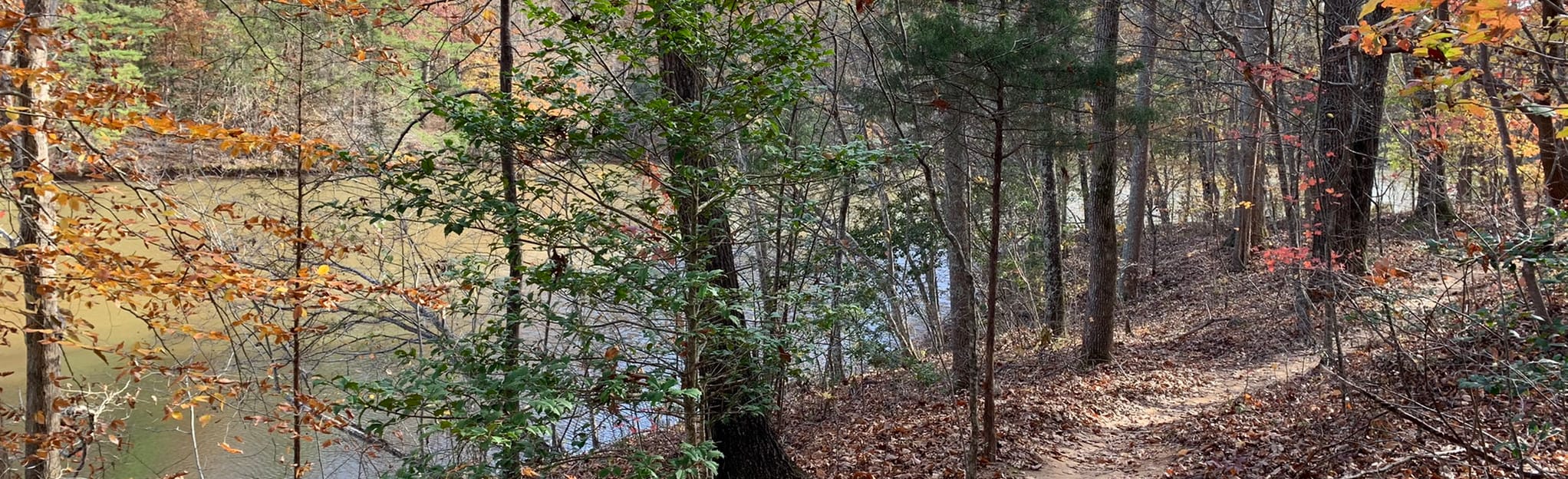 Hawk Loop and Hicks Creek Loop, North Carolina - 176 Reviews, Map ...