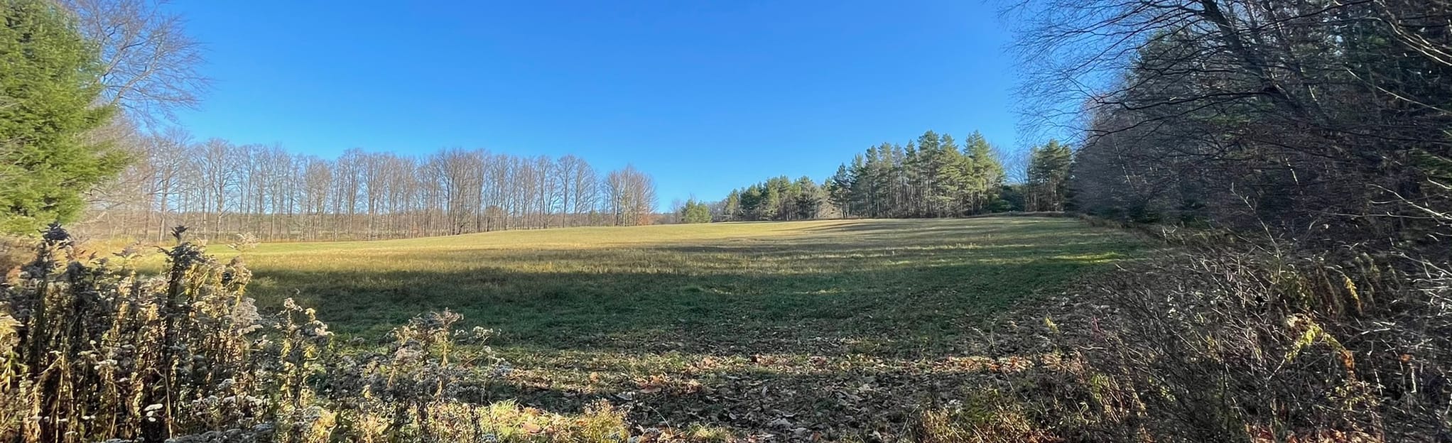 Hammond Hill Trail, New York - 199 Reviews, Map | AllTrails