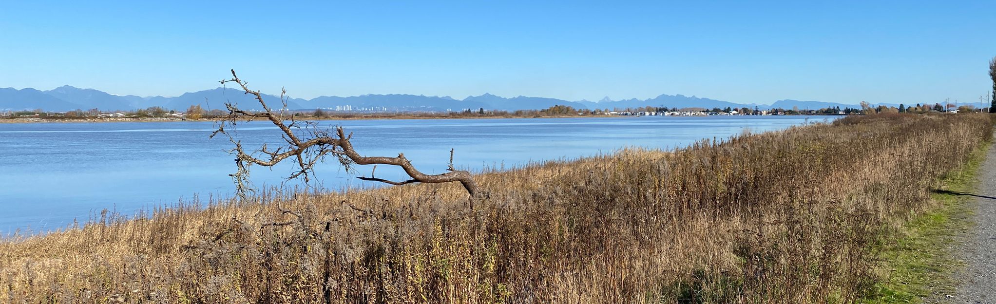 Brunswick Point: 127 Reviews, Map - British Columbia, Canada | AllTrails
