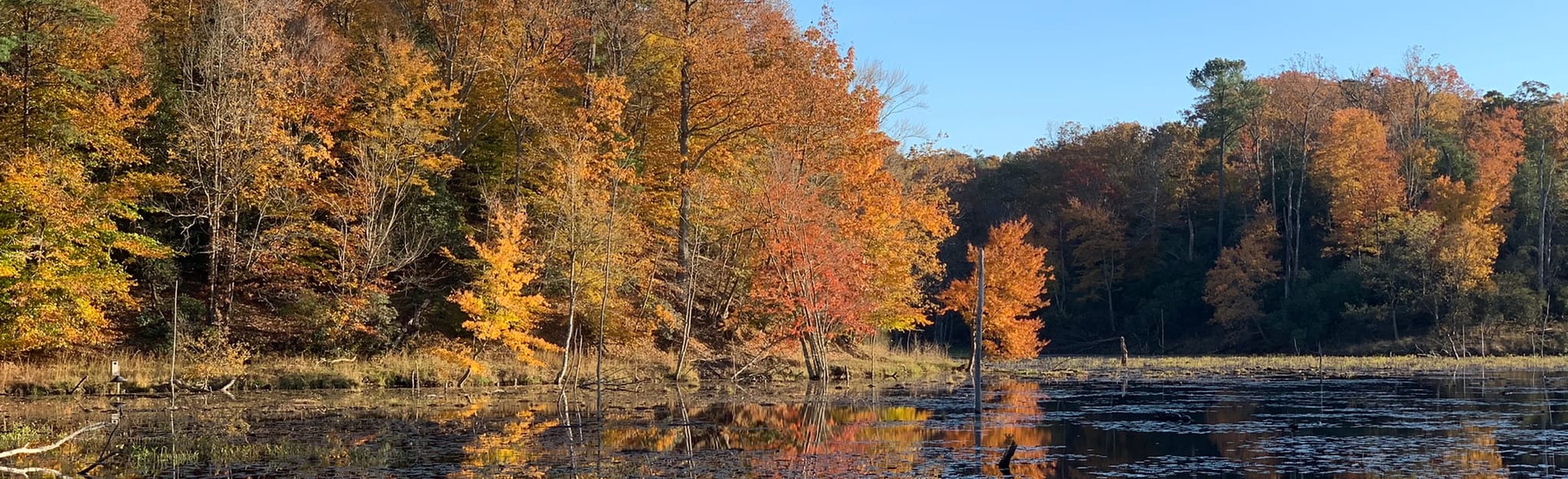 Calvert Cliffs Orange Trail, Maryland - 257 Reviews, Map | AllTrails