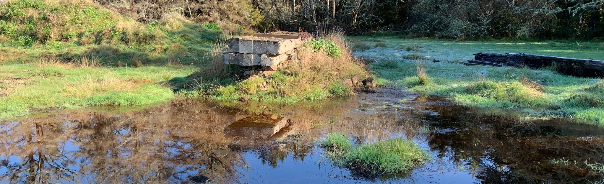 Porter Point Loop, Washington - 30 Reviews, Map | AllTrails