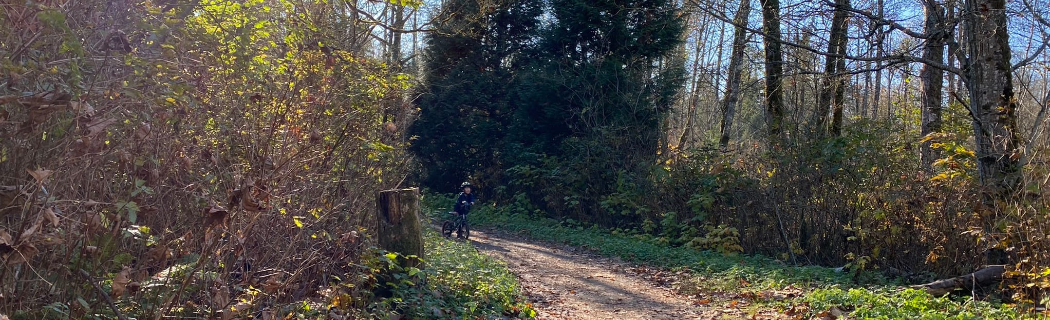 Fleetwood Park Loop: 65 fotos - Columbia Británica, Canadá | AllTrails