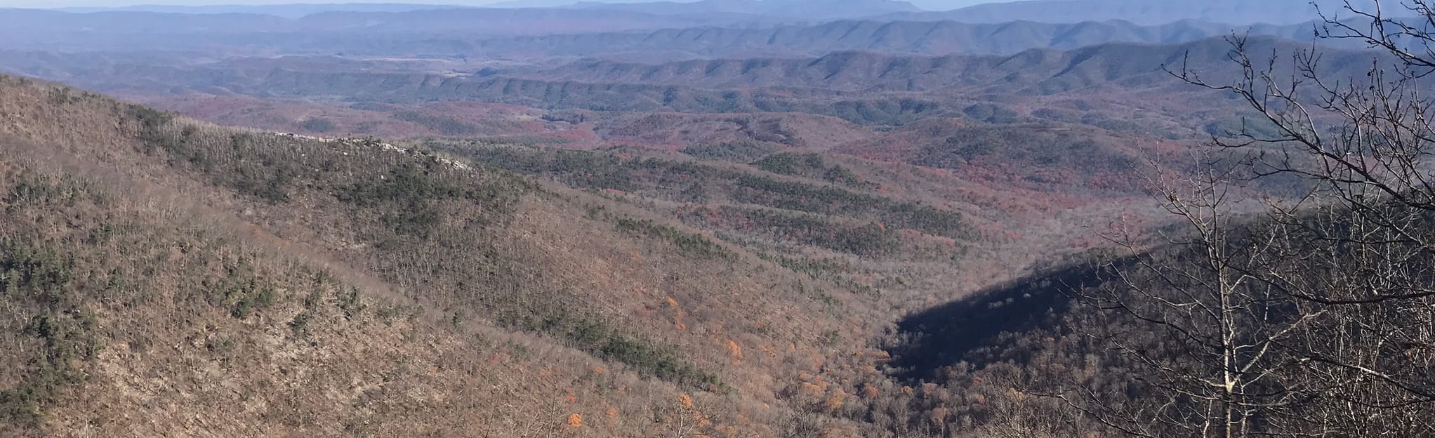 Bear Loop Trail: 42 Reviews, Map - Virginia | AllTrails