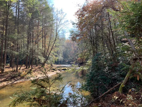 10 Best Hikes and Trails in Clifty Wilderness | AllTrails