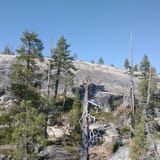 Kibbie Lake Trail, California - 148 Reviews, Map | AllTrails