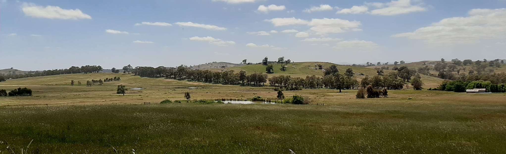 Goldfields Track, Victoria, Australia - 105 Reviews, Map | AllTrails