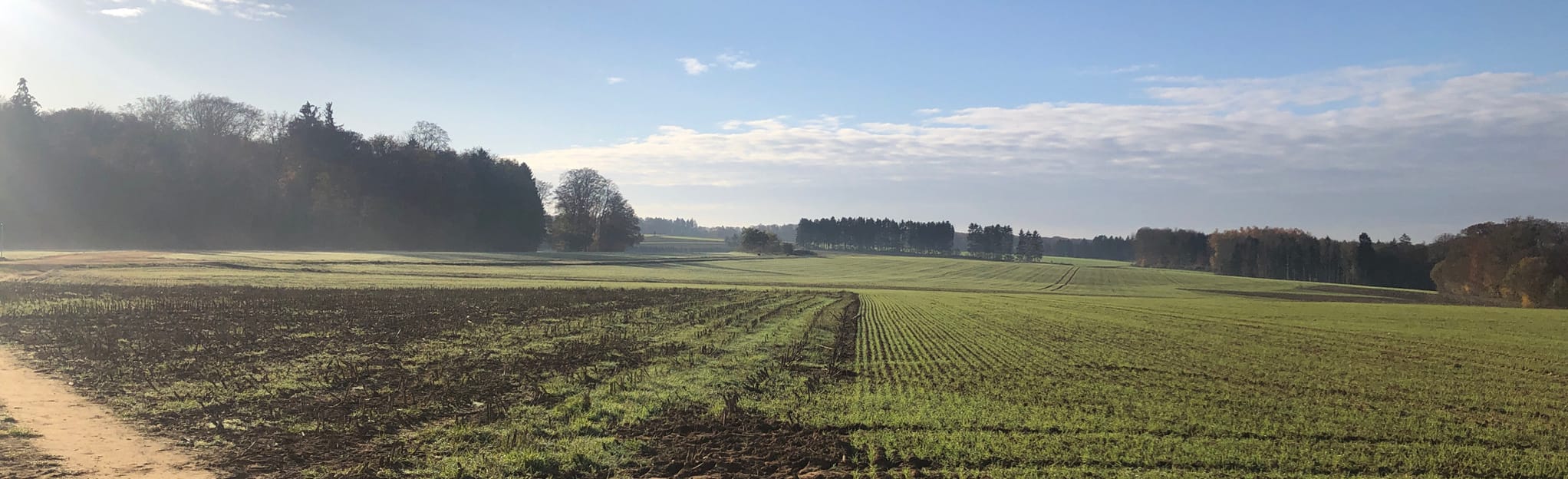 Auto-Pédestre Steinsel: 24 Reviews, Map - Luxembourg, Luxembourg ...