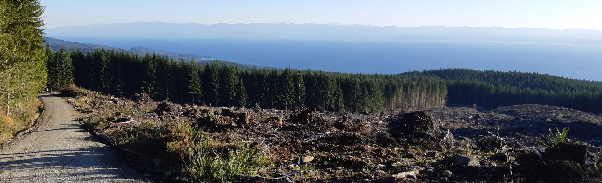 Wye Lake via North Main: 8 Reviews, Map - British Columbia, Canada ...