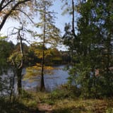 Hinson Lake, North Carolina - 72 Reviews, Map | AllTrails