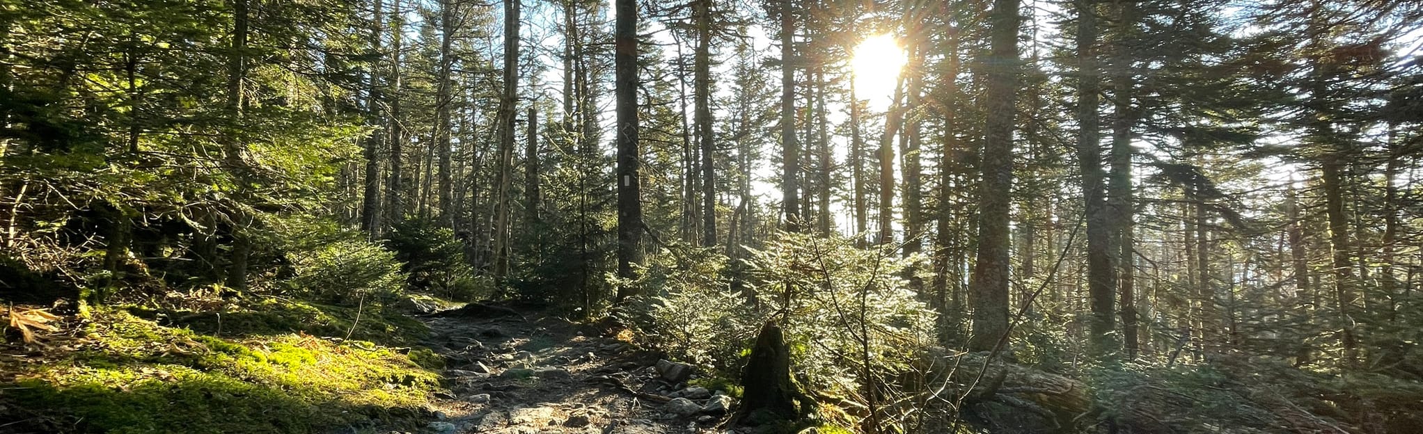 Long, Battell, and USFS 349 Trail Loop: 1 Reviews, Map - Vermont ...