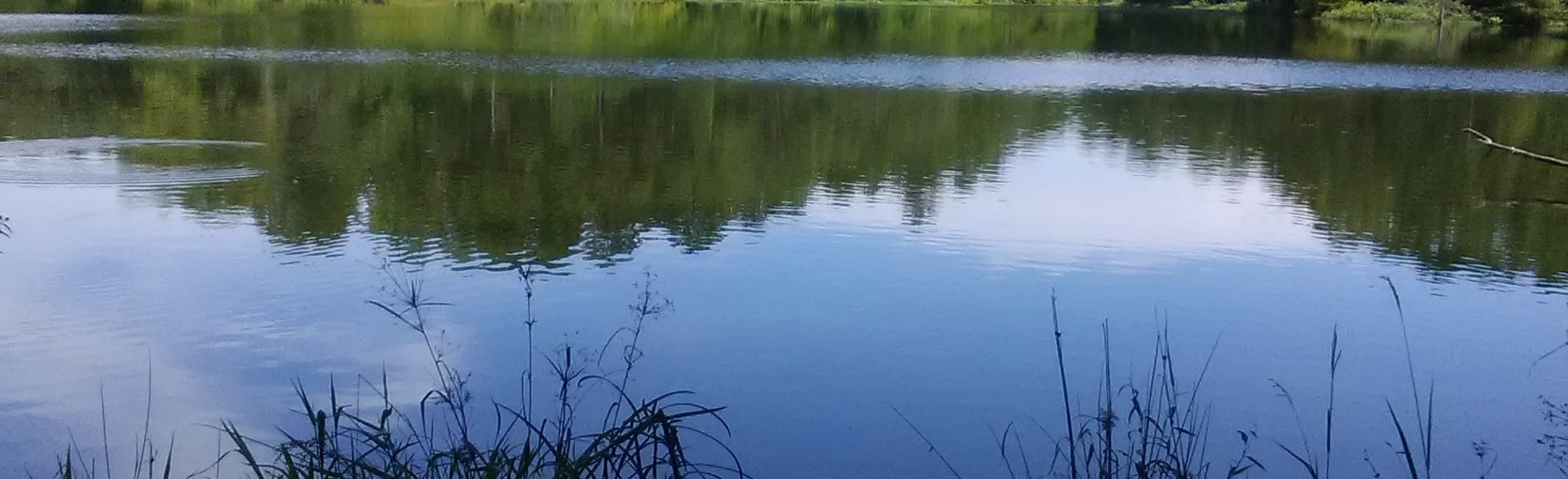 Crossett Park Loop, Arkansas - 11 Reviews, Map | AllTrails