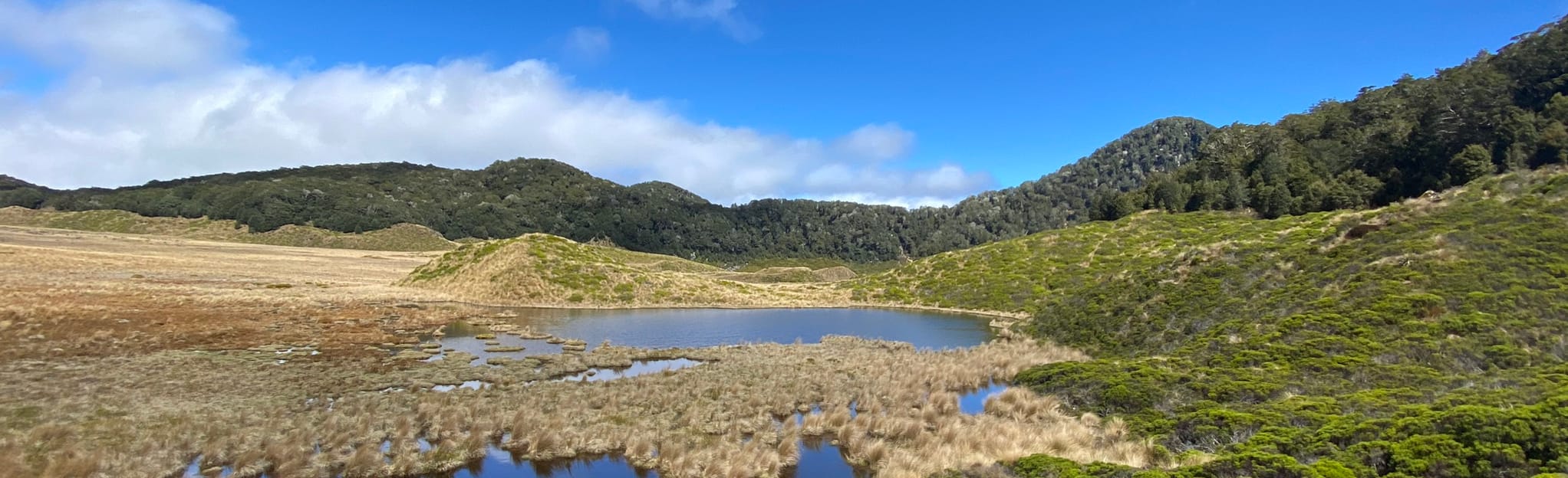 Borland Bivouac to Green Lake Hut via Green Lake Track: 17 Fotos ...