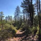 Red Rock Spring Trail to Highline Trail, Arizona - 60 Reviews, Map ...