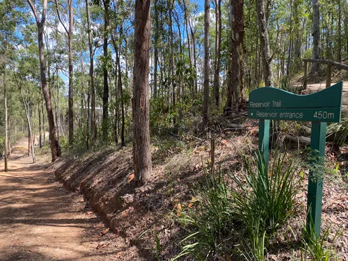 Best Hard Trails in Mt Coot-tha Reserve | AllTrails