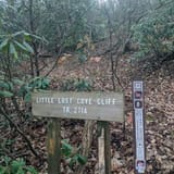 Little Lost Cove Cliffs, North Carolina - 145 Reviews, Map | AllTrails