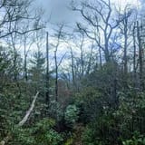 Little Lost Cove Cliffs, North Carolina - 145 Reviews, Map | AllTrails